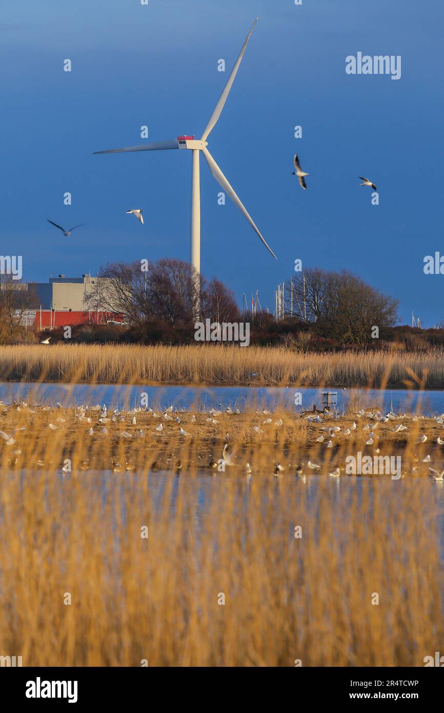 Strand strandpark hi-res stock photography and images - Alamy