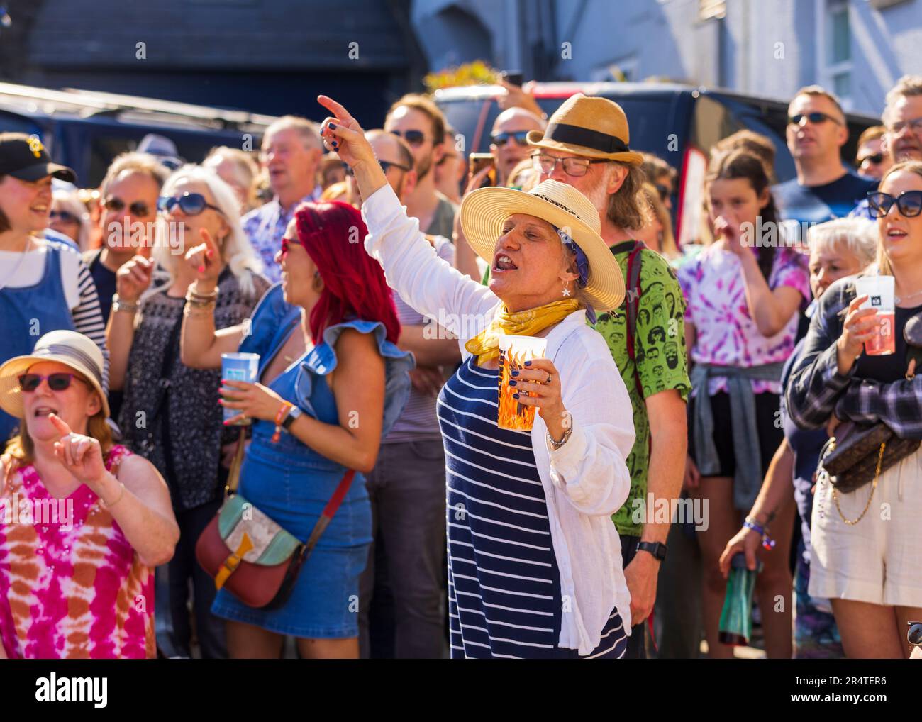 The crowd enjoying some music, Dartmouth Arms, Dart Music Festival ...