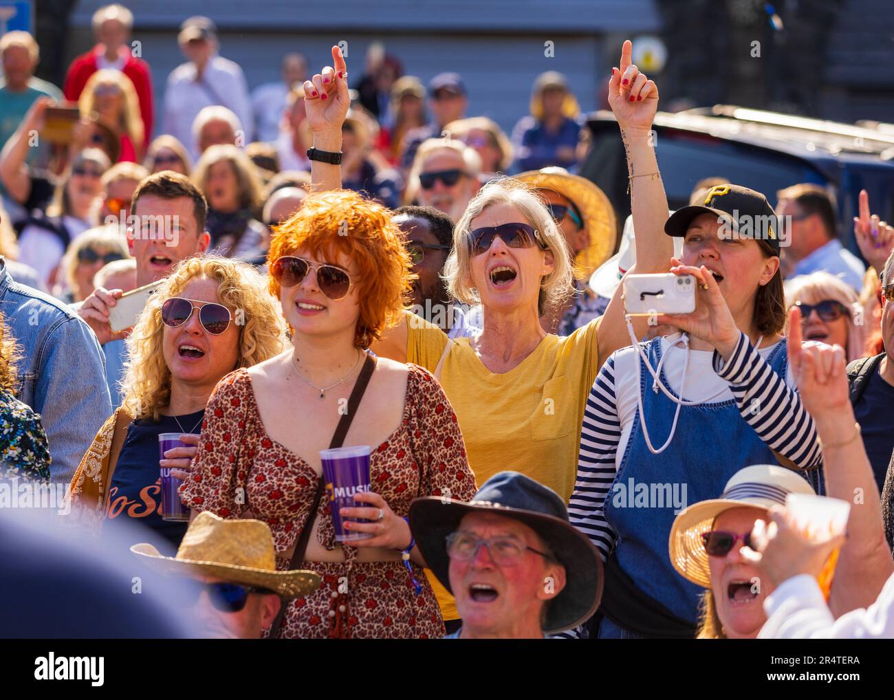 The crowd enjoying some music, Dartmouth Arms, Dart Music Festival ...