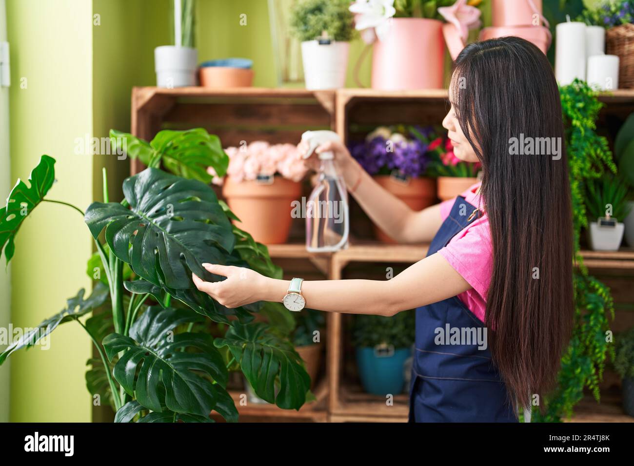 Young chinese woman florist using diffuser watering plant at flower ...