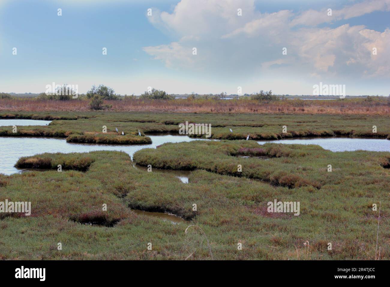 Evros delta national park hi-res stock photography and images - Alamy