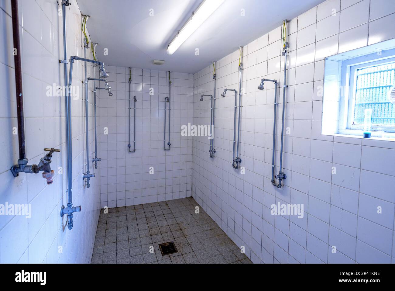 Showers at sports club Stock Photo - Alamy
