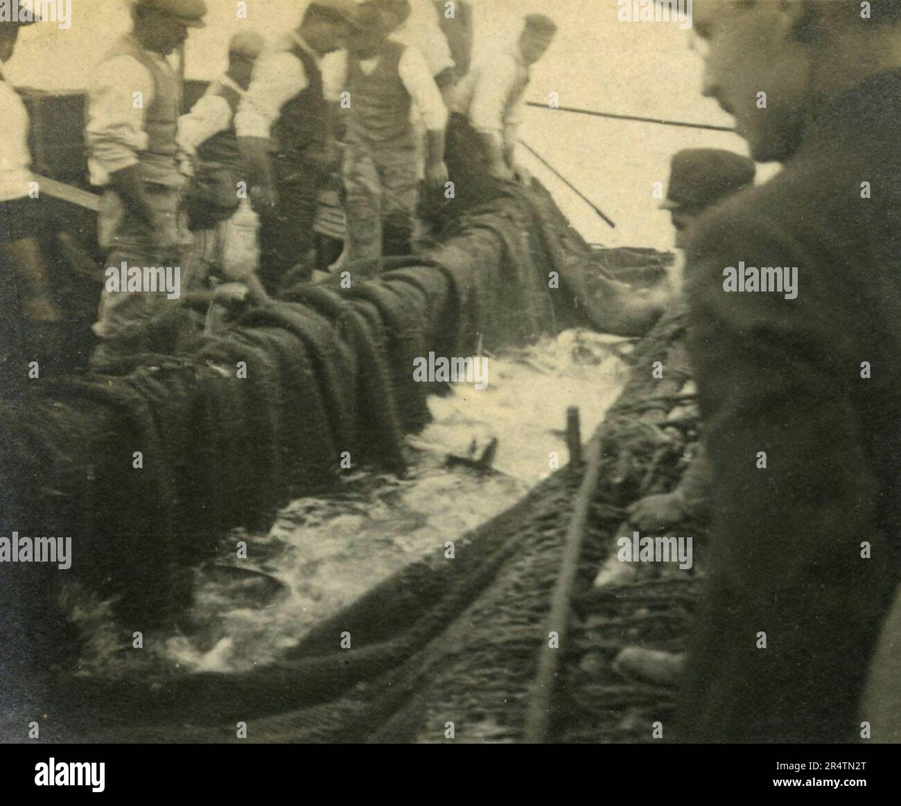 Tuna fishing in Gallipoli, Italy 1920 Stock Photo - Alamy