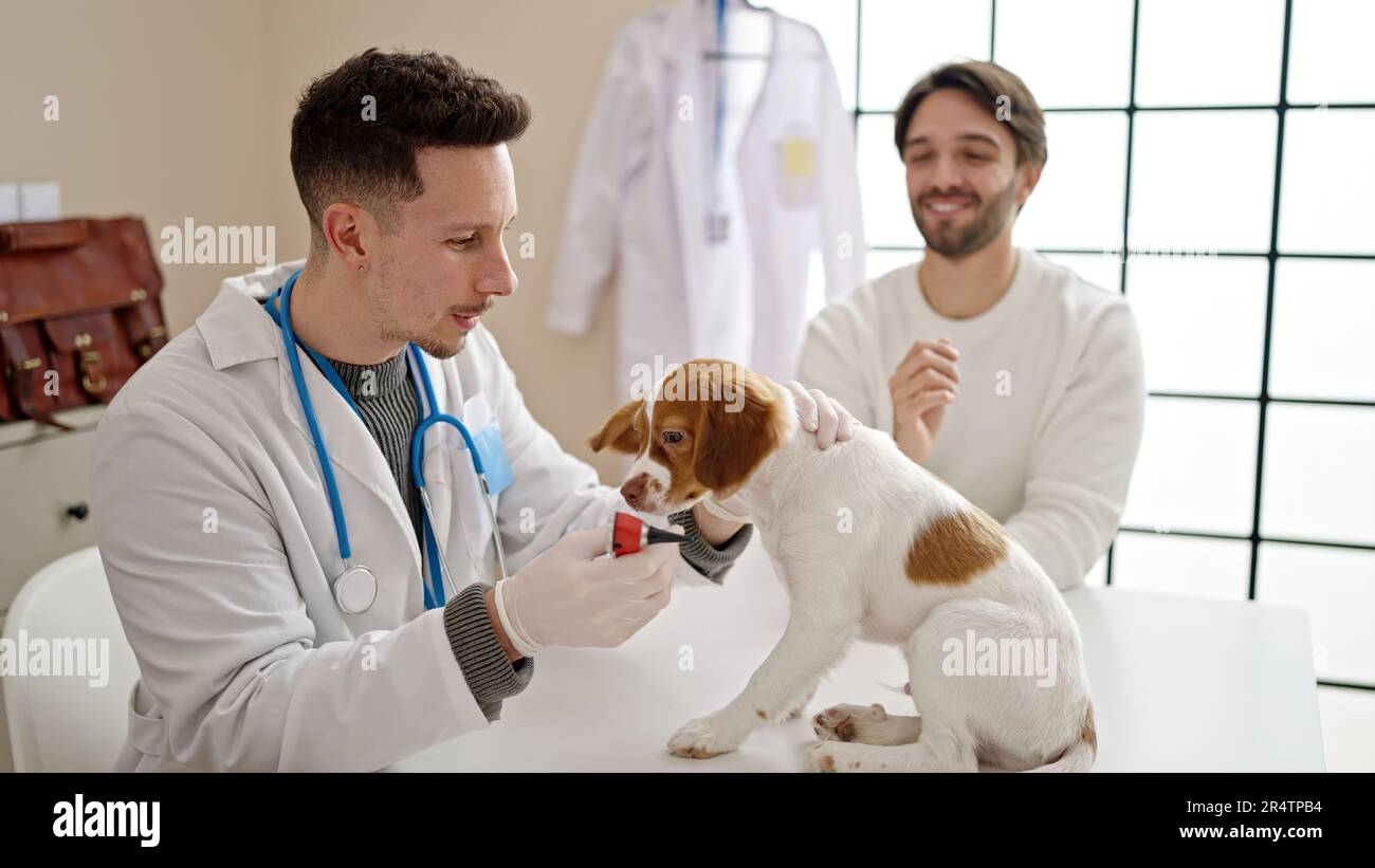 Vet examining ears dog otoscope hi-res stock photography and images - Alamy