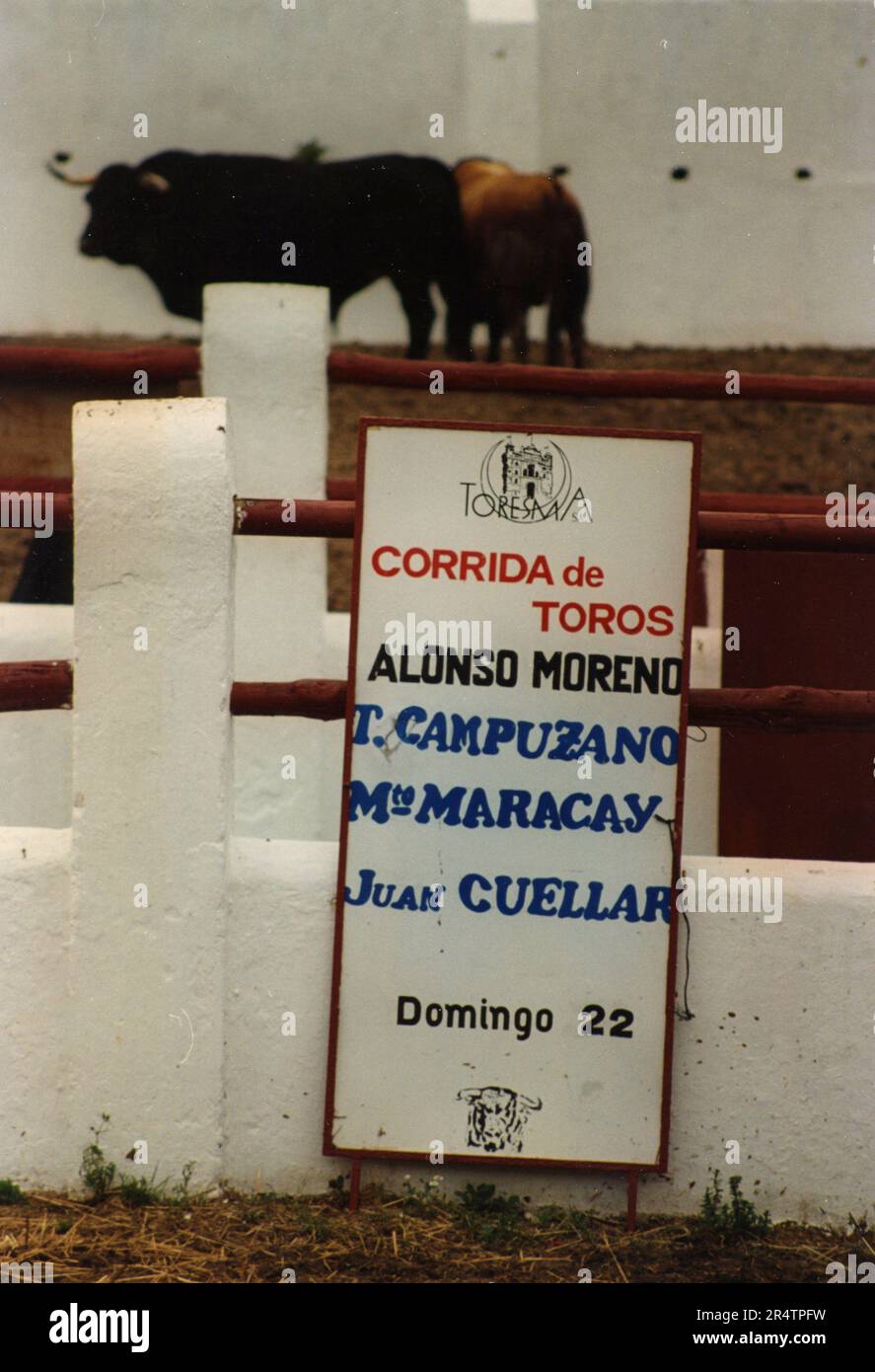 Bullfighting bulls hi-res stock photography and images - Alamy
