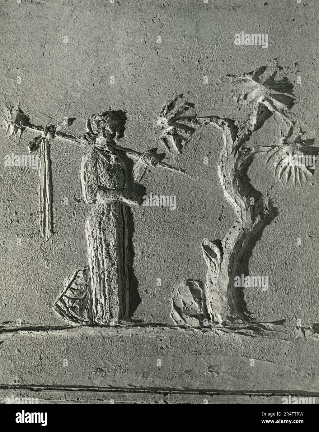 Stucco from the 1st Century AD in the underground Basilica of Porta ...