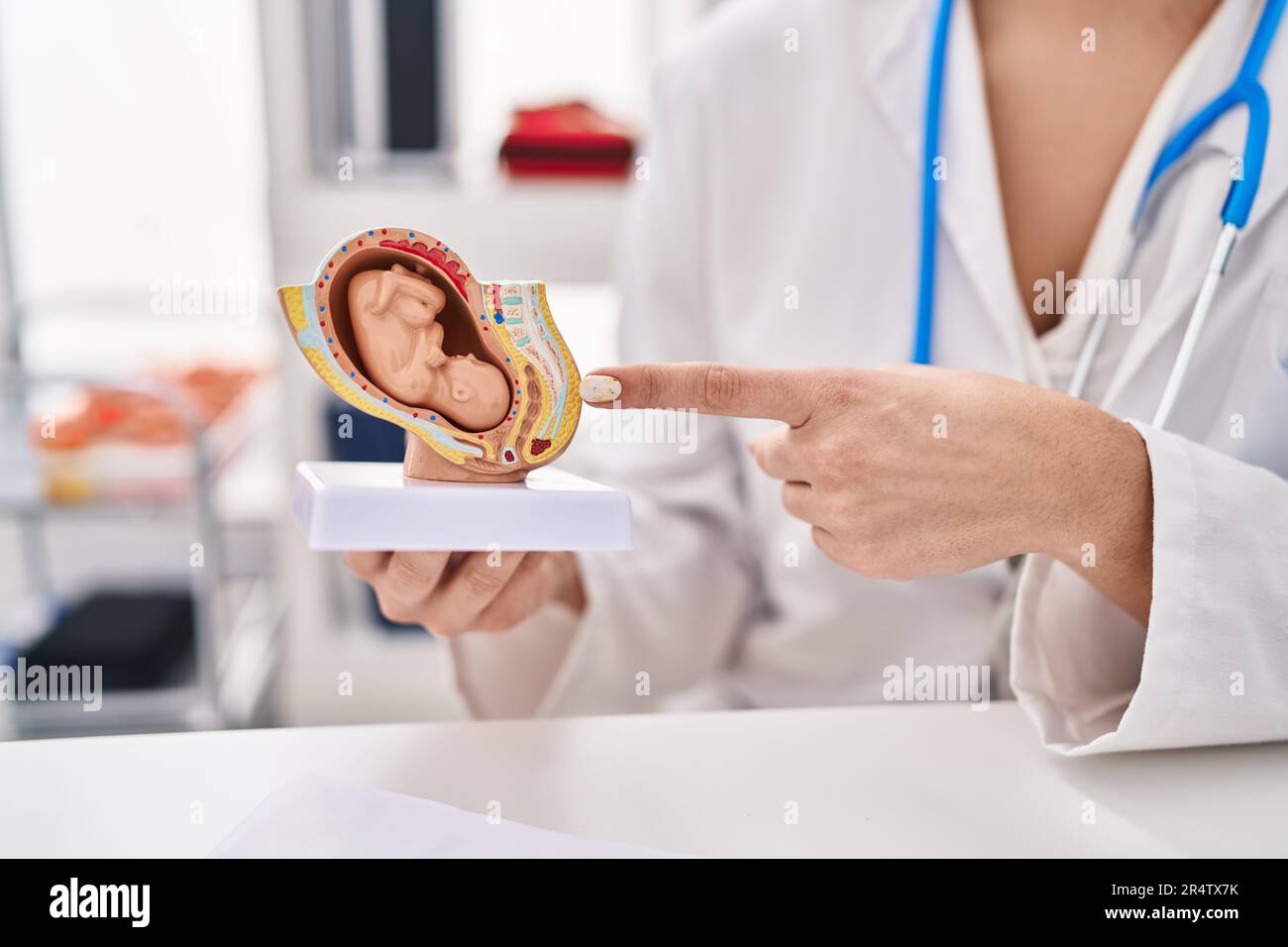 Young beautiful hispanic woman gynecologist pointing to anatomical ...