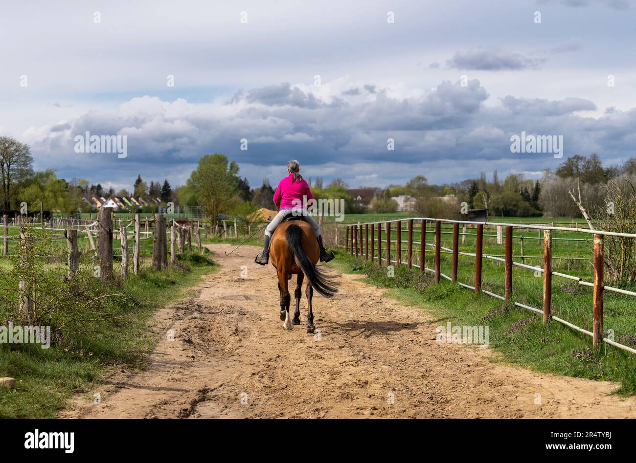 Rider With Horse In The North Of Berlin, Berlin, Germany Stock Photo ...