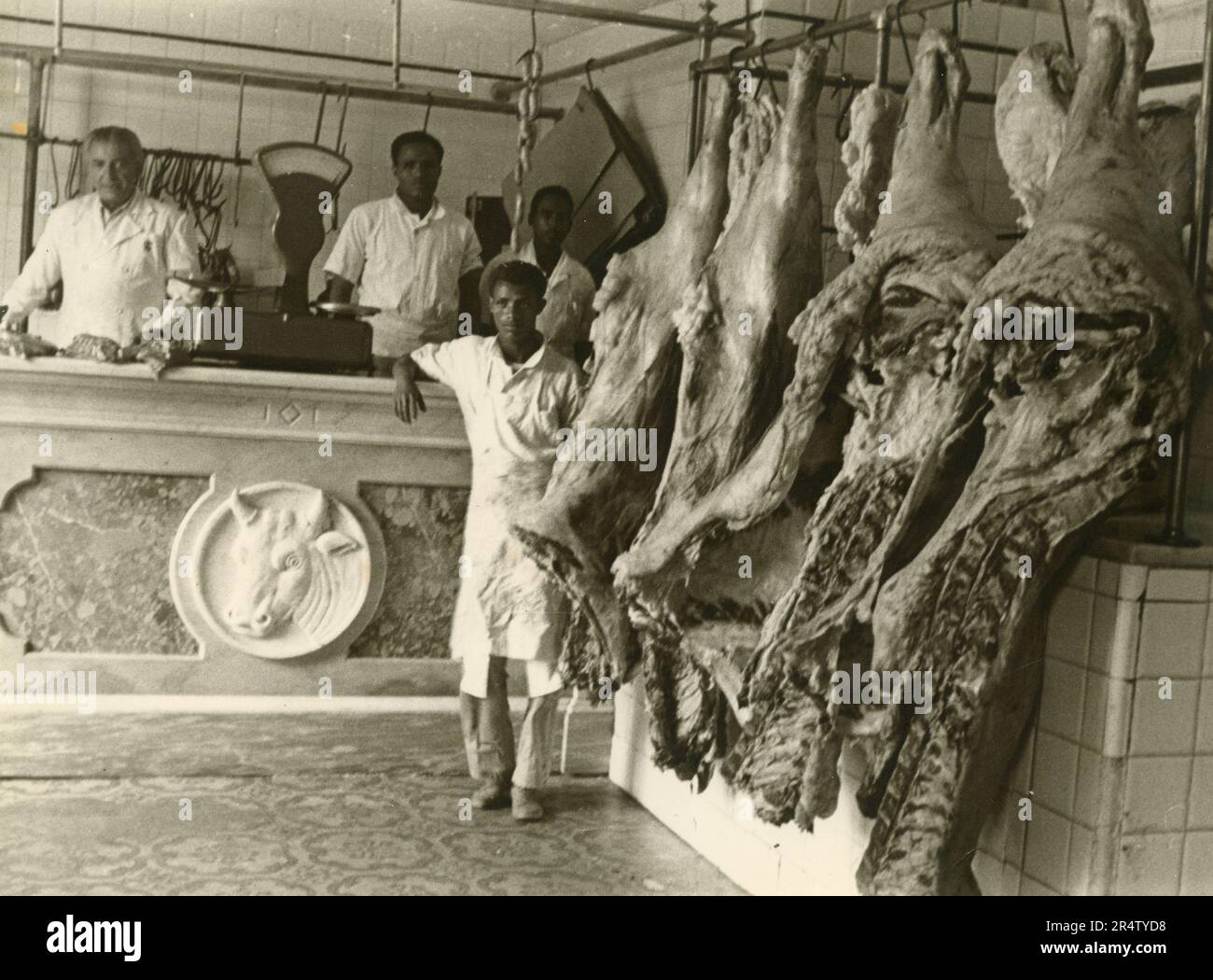 Beef quarters hanging inside the butcher shop, Italy 1960s Stock Photo ...
