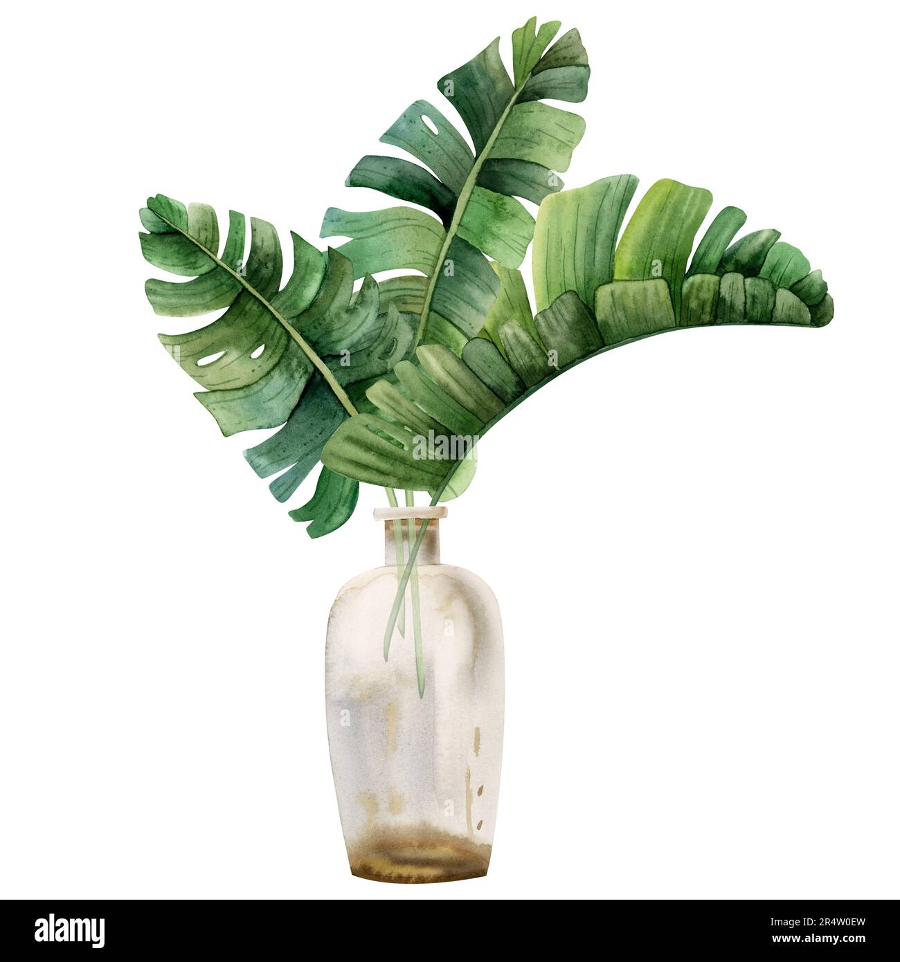 Tropical leaves of monstera, palm tree banana in transparent vase ...