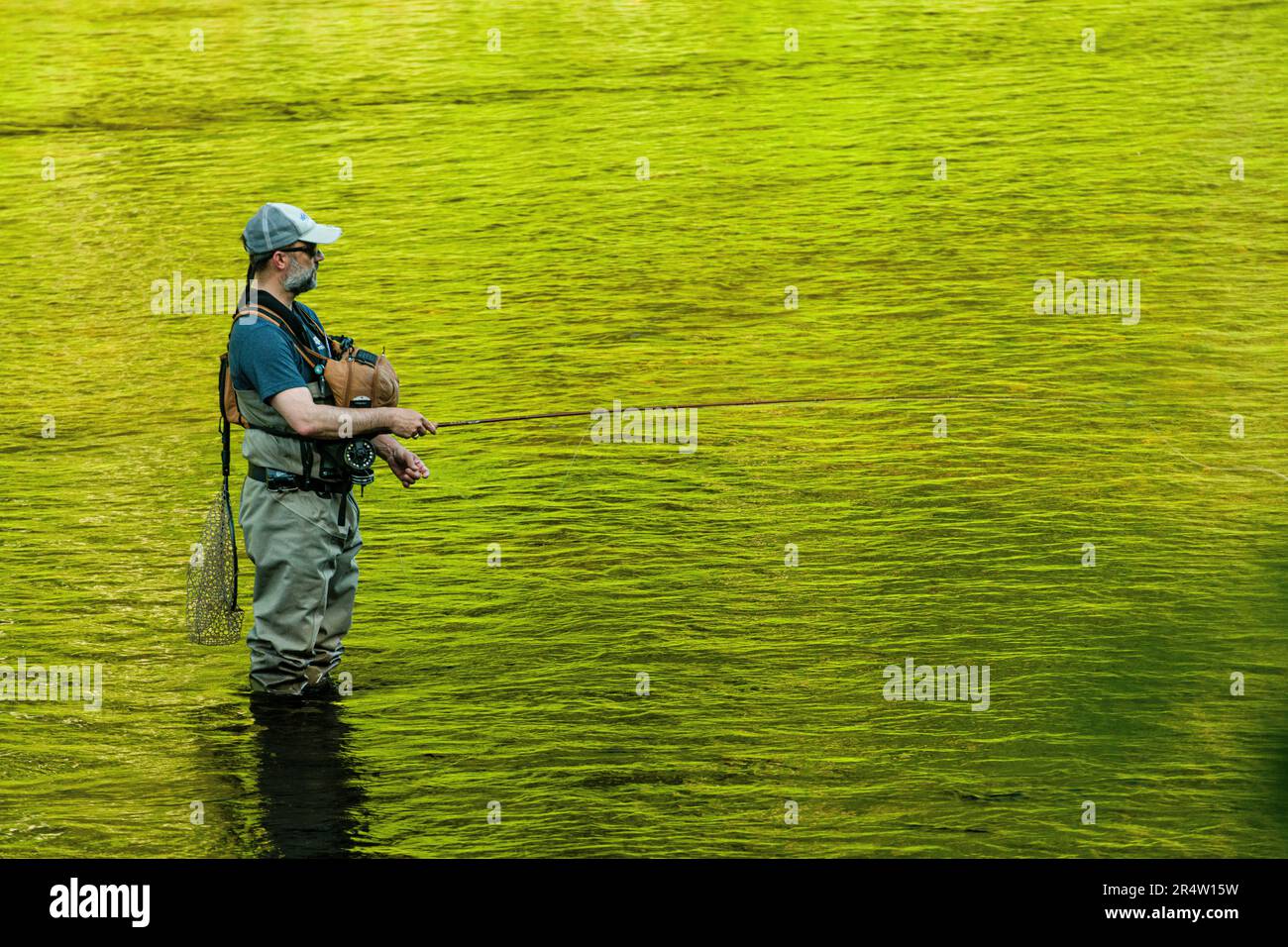 Fly Fisherman on the West Branch of the Farmington River American Legion and Peoples State ...