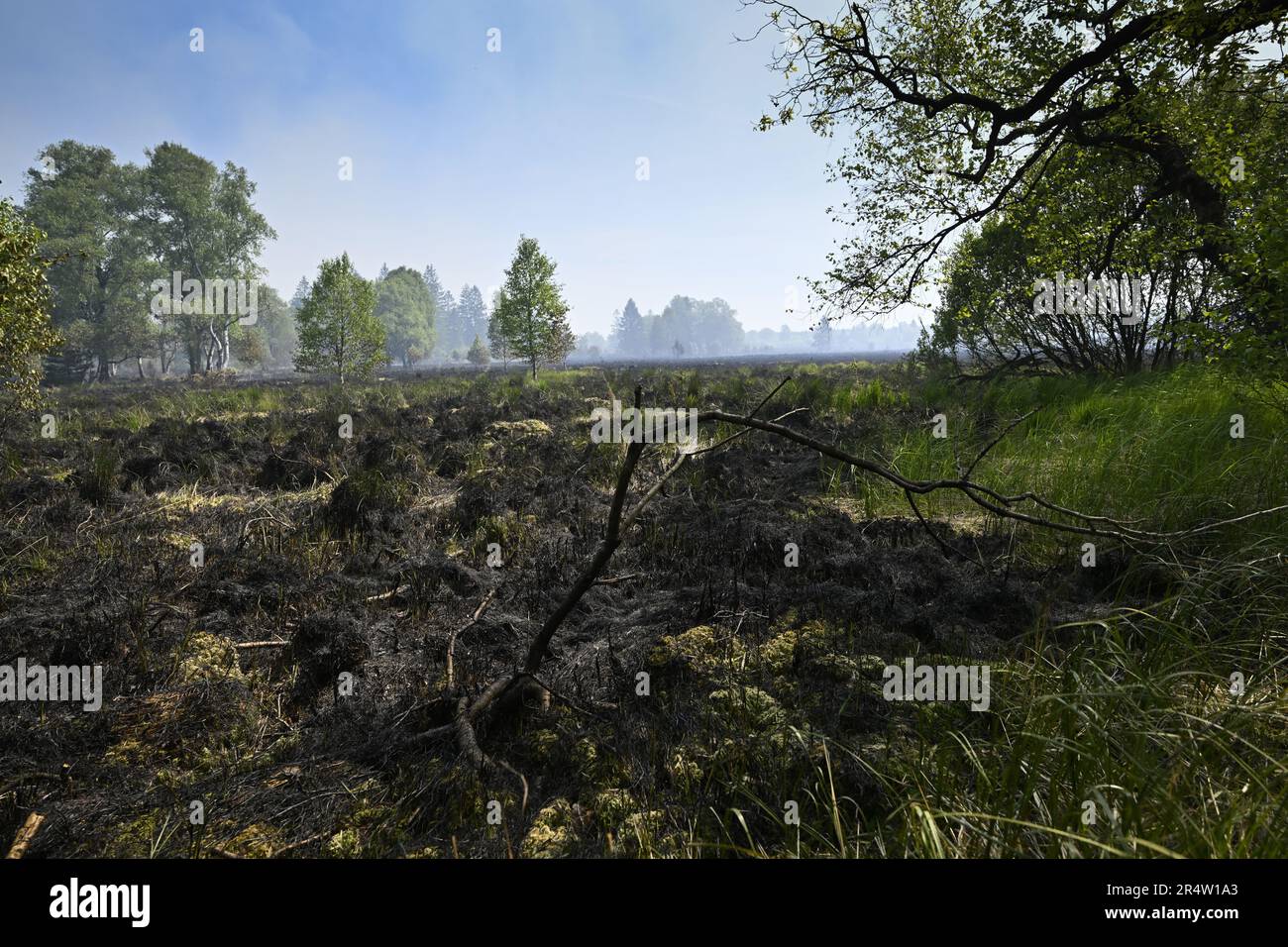 Illustration picture shows the scene of a fire in the Hautes Fagnes ...