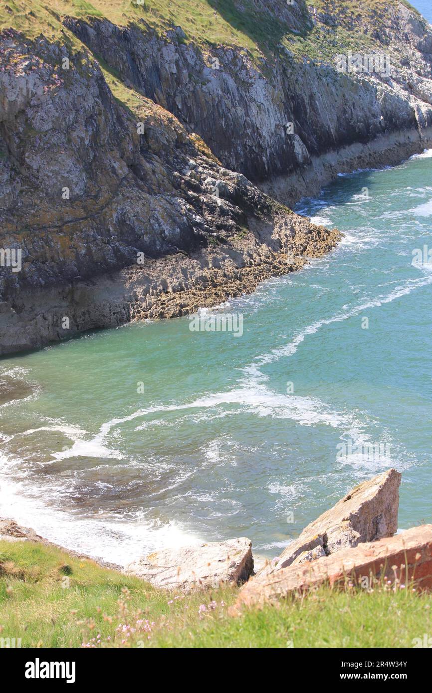 Conwy seals hi-res stock photography and images - Alamy