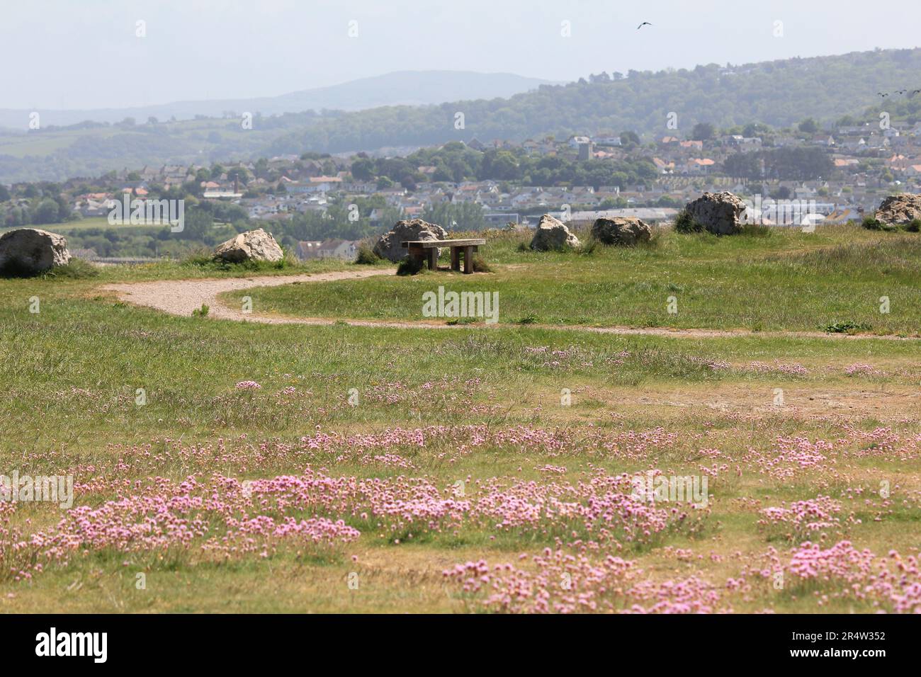Conwy seals hi-res stock photography and images - Alamy