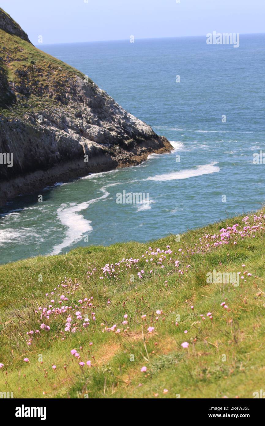 Angel bay llandudno hi-res stock photography and images - Alamy