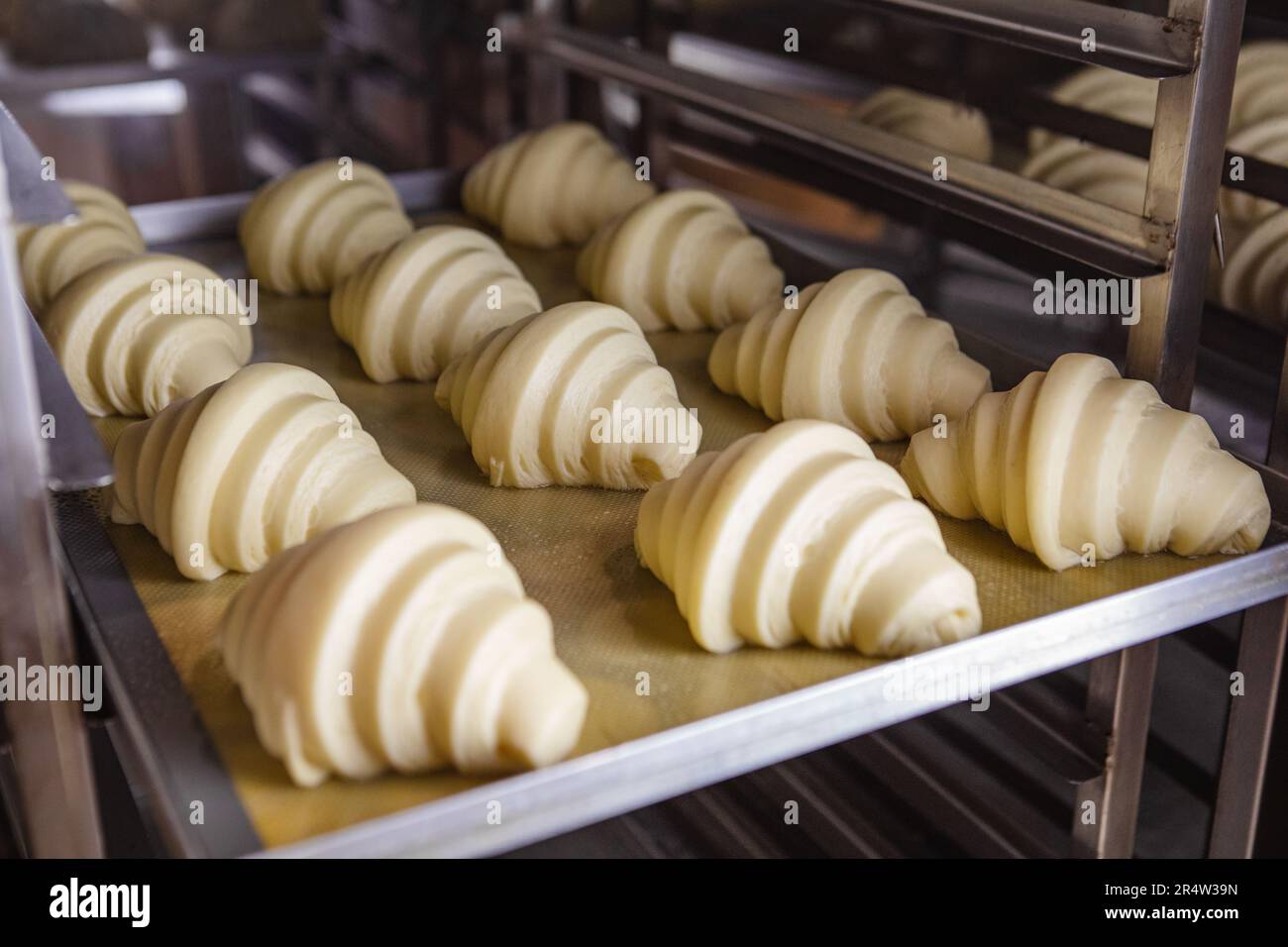 Oven-ready proofed croissant dough Stock Photo - Alamy