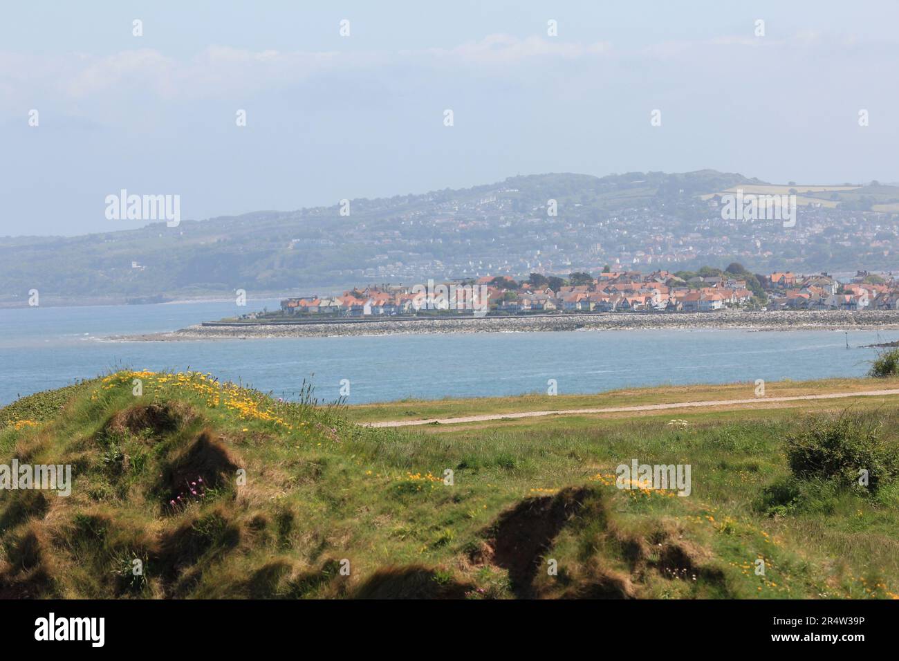 Conwy seals hi-res stock photography and images - Alamy