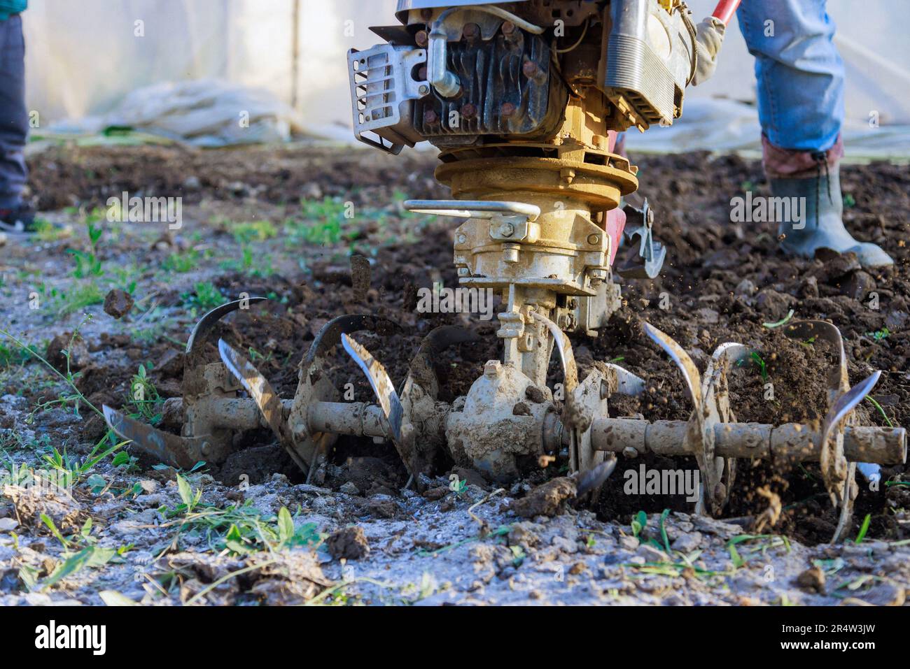 This farmer is plowing ground with help of tiller block using motor ...
