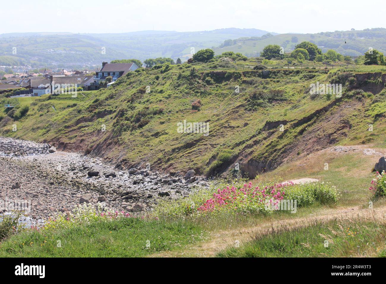 Conwy seals hi-res stock photography and images - Alamy