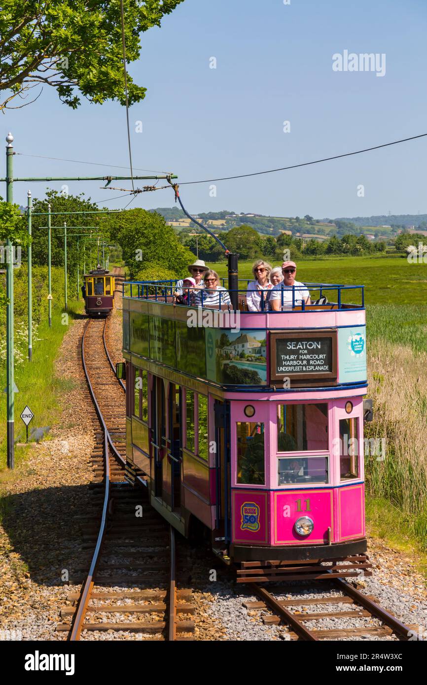 pink open top double decker tram number 11 eleven, Seaton Tramway ...