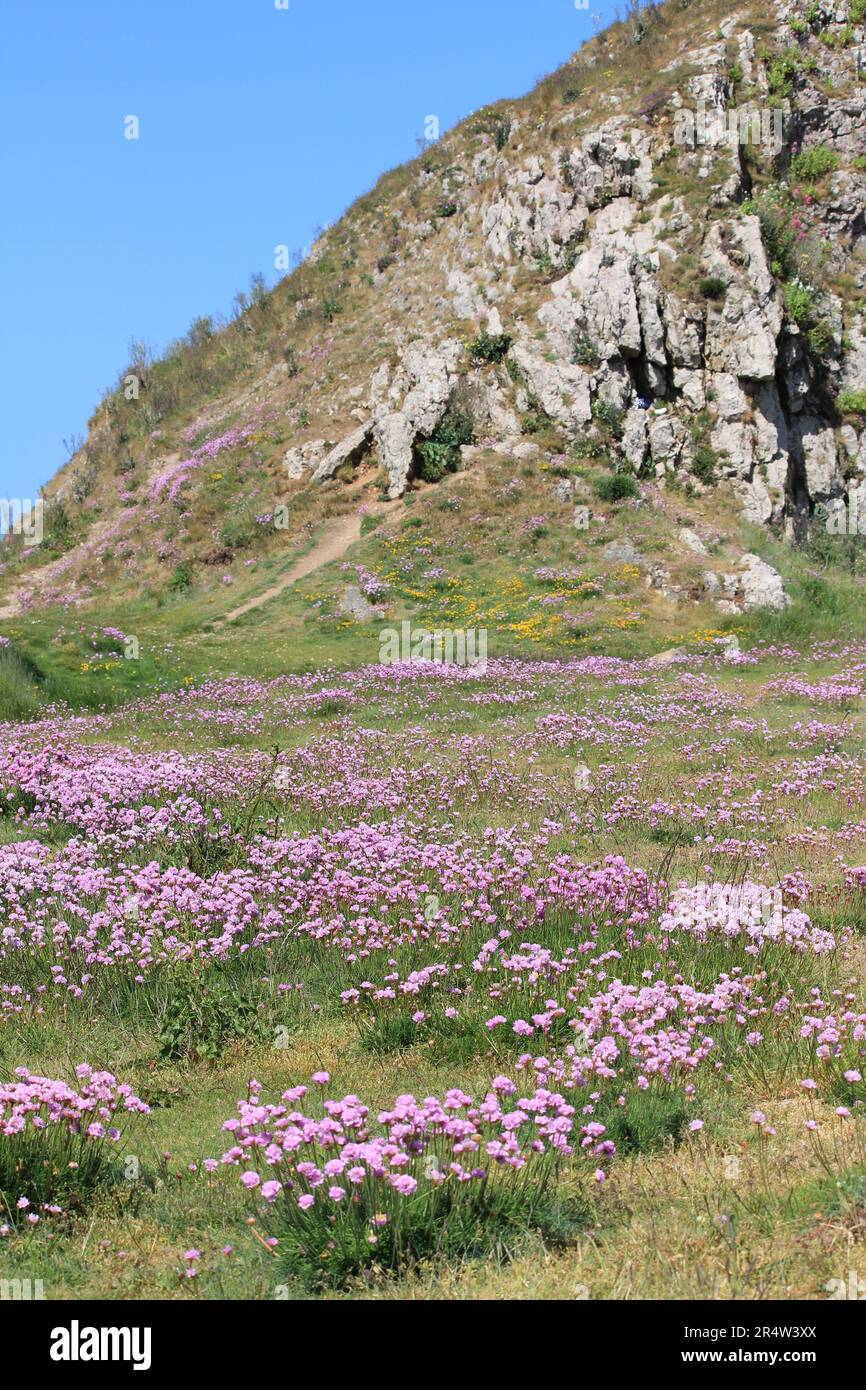 Angel bay llandudno hi-res stock photography and images - Alamy