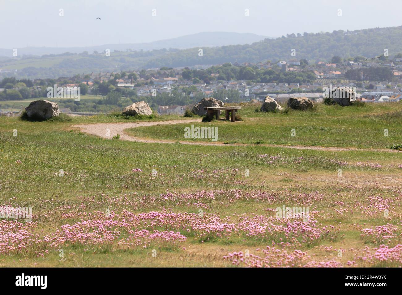 Conwy seals hi-res stock photography and images - Alamy