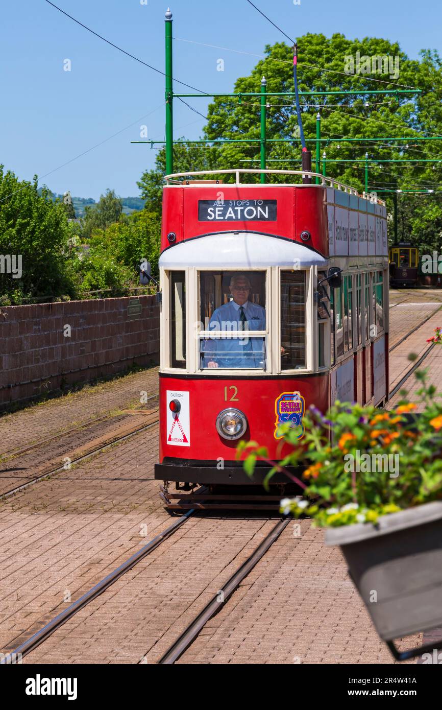 red open top double decker tram number 12 twelve, Seaton Tramway ...