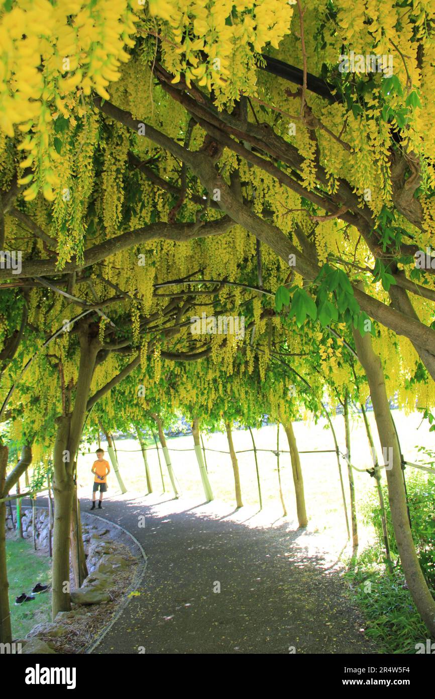 Happy valley botanical gardens hi-res stock photography and images - Alamy