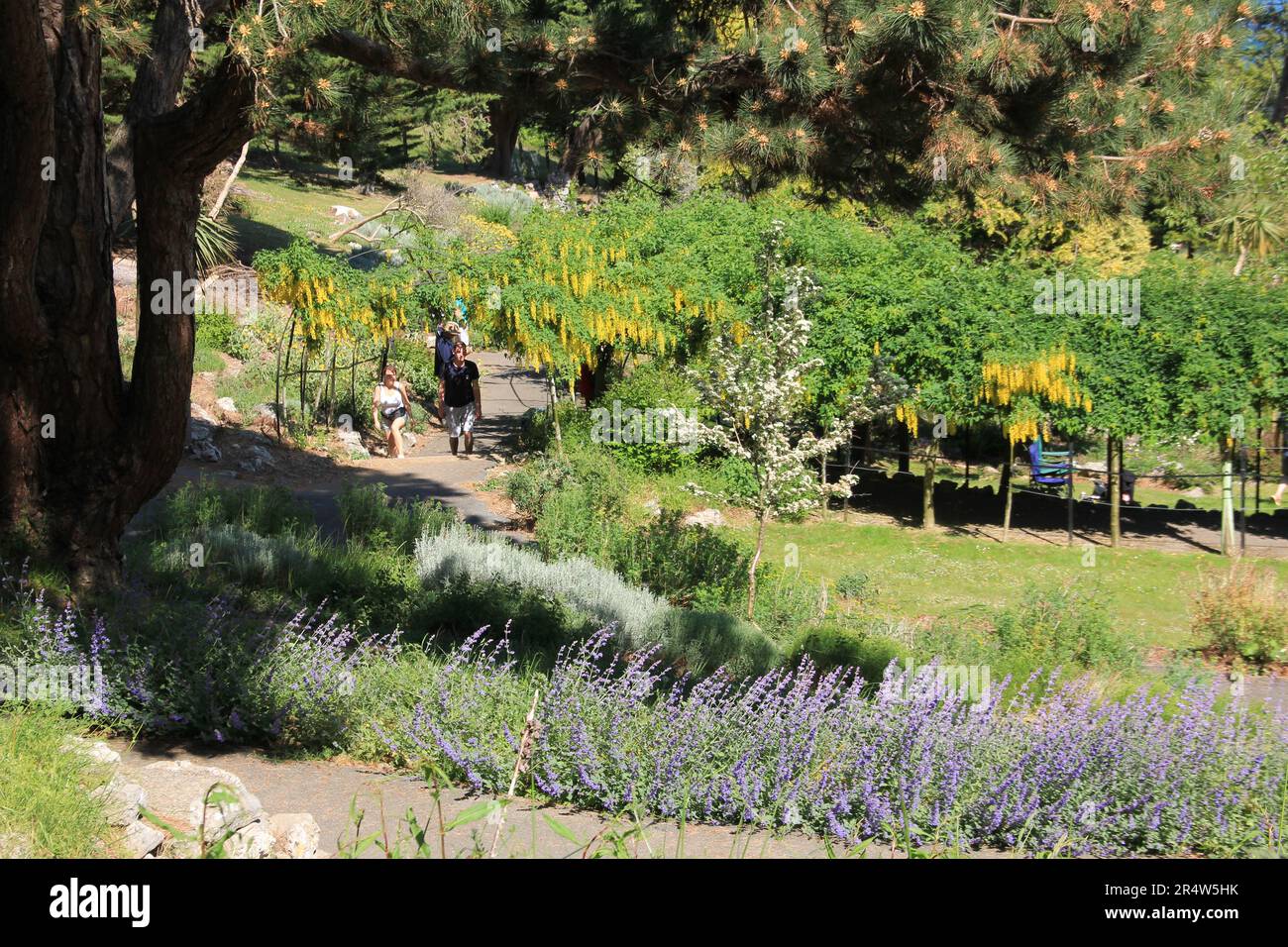 Happy valley botanical gardens hi-res stock photography and images - Alamy