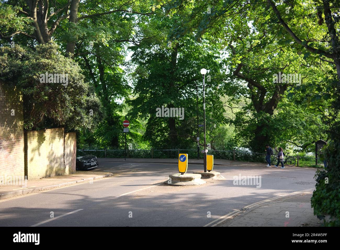 Escape to the treescape in the landscape hi-res stock photography and ...