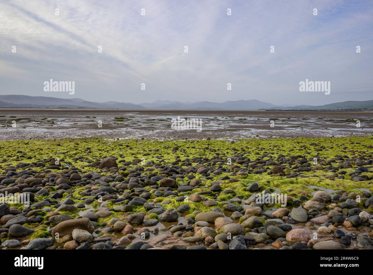 Coastal landscape across Duddon Estuary with seaweed in the foreground ...