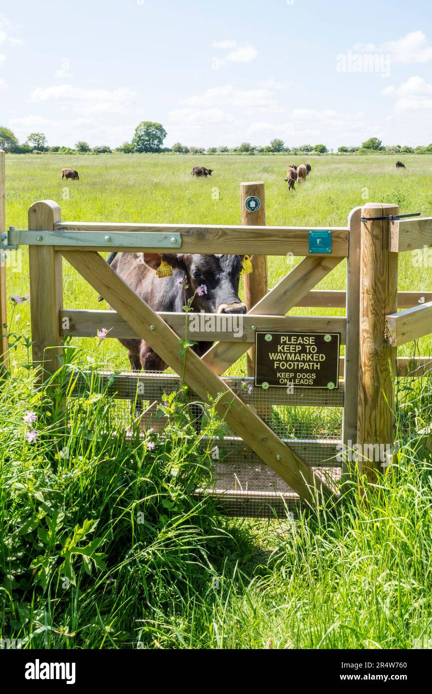 Gates in a field hi-res stock photography and images - Alamy