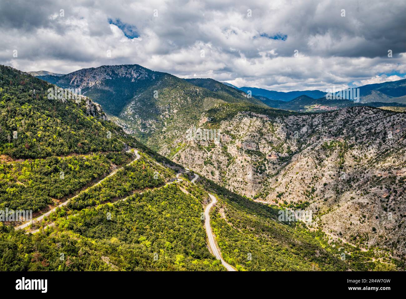 Perasma elonis hi-res stock photography and images - Alamy