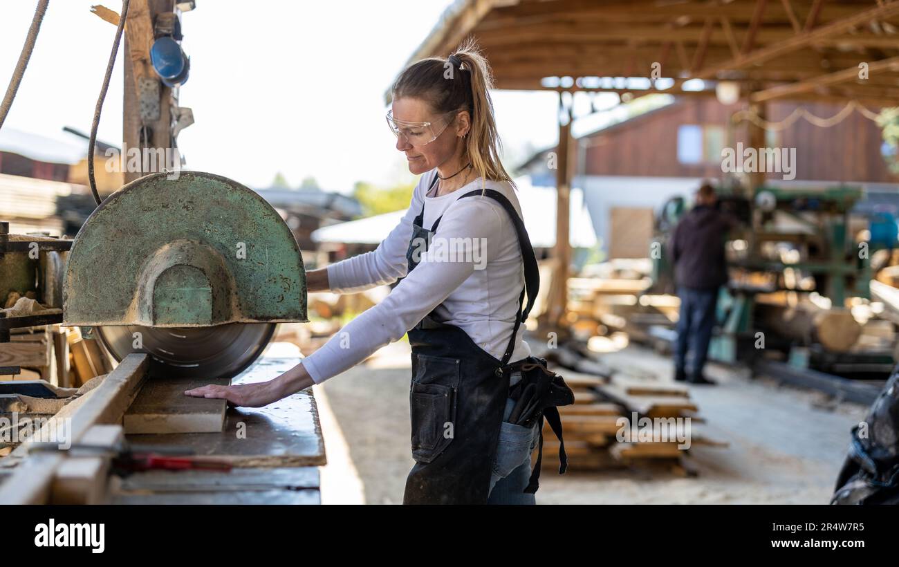 Carpenter cutting plank by circular saw in a sawmill Stock Photo - Alamy