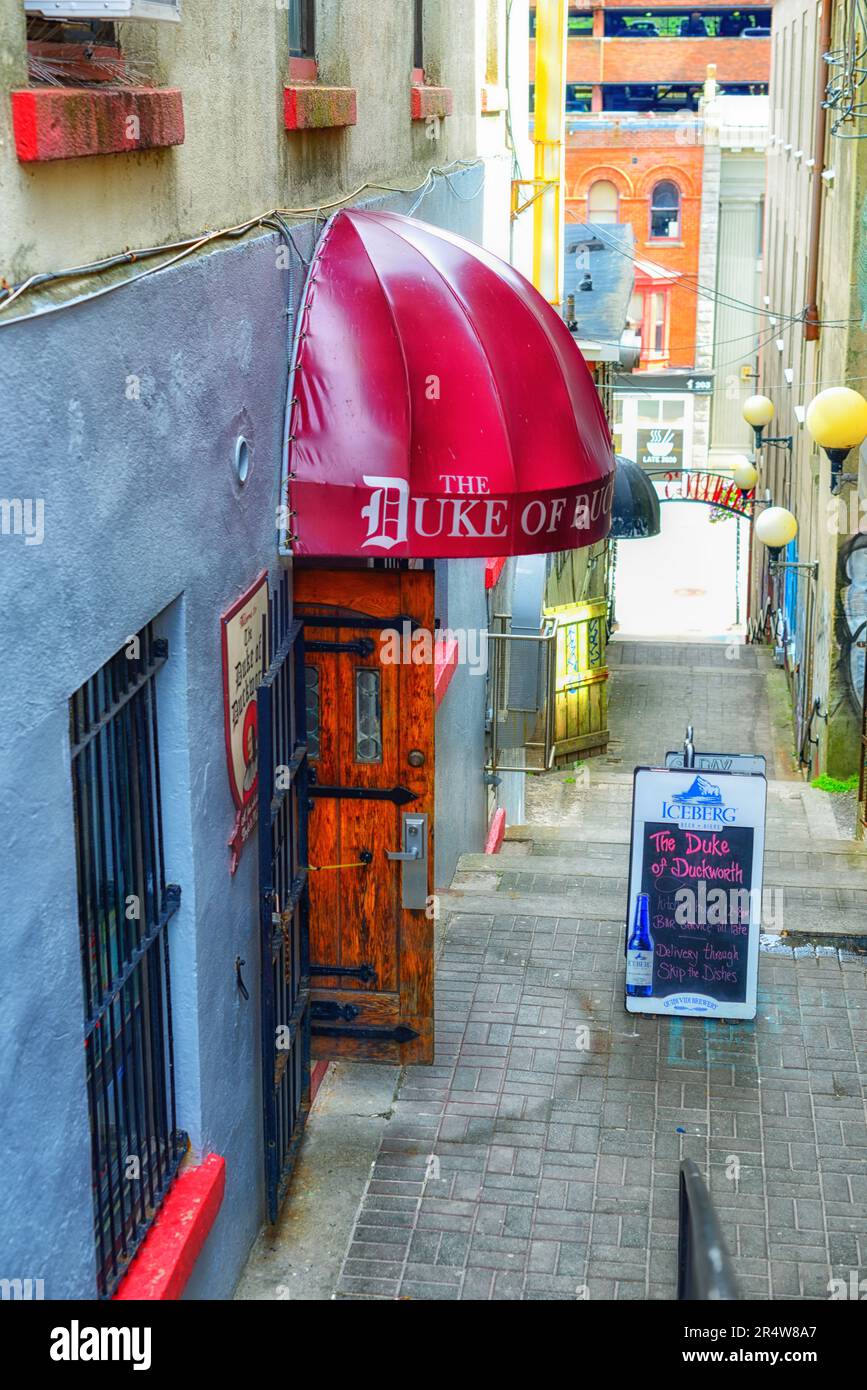 The Duke of Duckworth Street Club or Bar is in an alley in downtown St ...