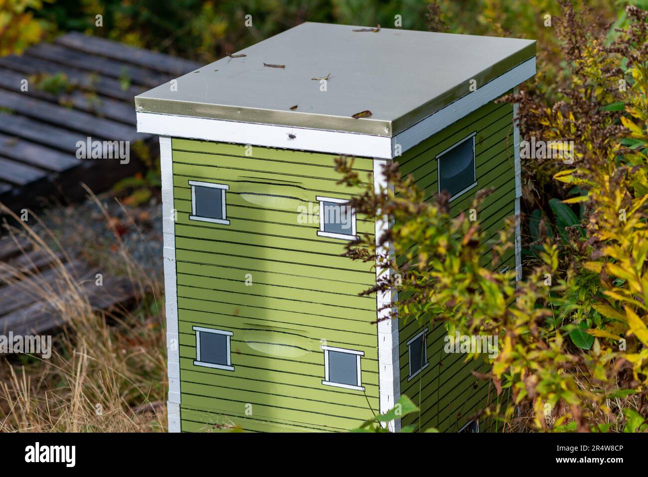 A tall wooden beehive green and white colored painted like a house ...