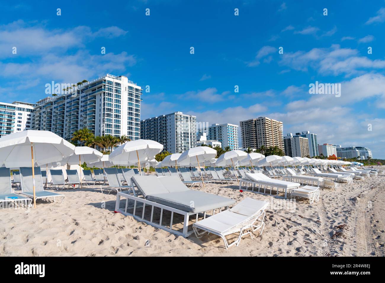 sunbed at summer beach vacation in miami. photo of sunbed at summer ...