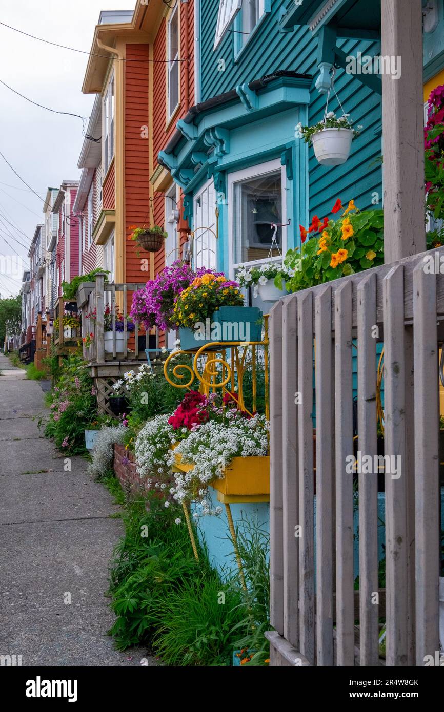 Street view of a row of colorful wooden adjoined row houses with pink ...