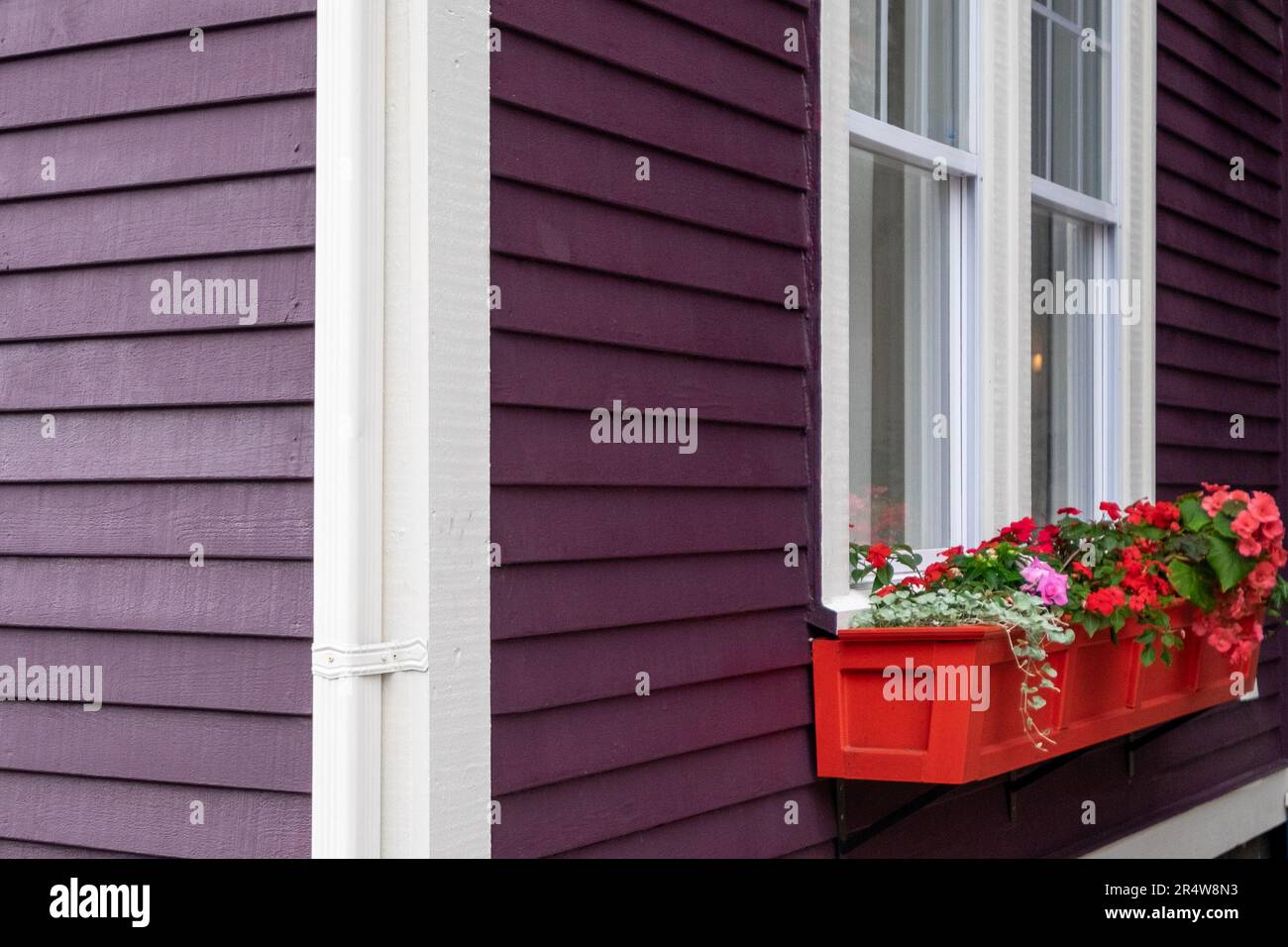 A purple painted exterior wall of a building with white trim. There's a ...