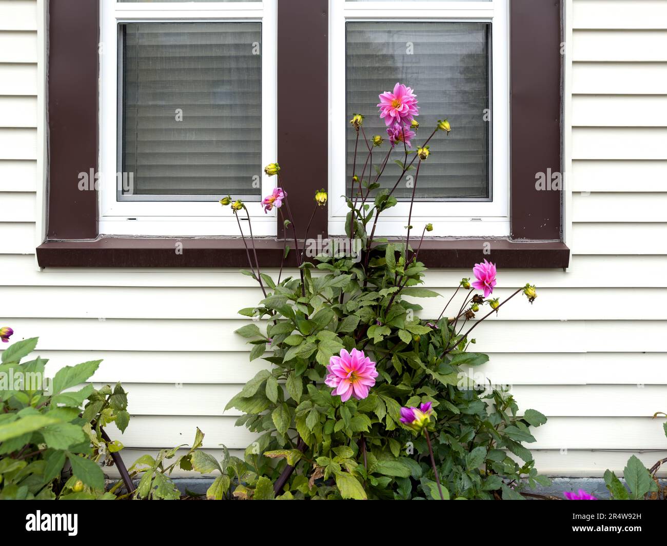 Tall narrow windows hi-res stock photography and images - Alamy