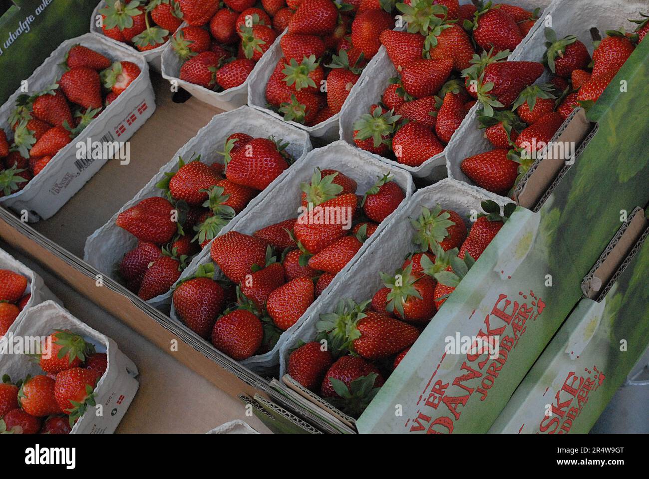 29 MAY 2023/IHome grwon strawberry in danish grocery store in Kastrup ...