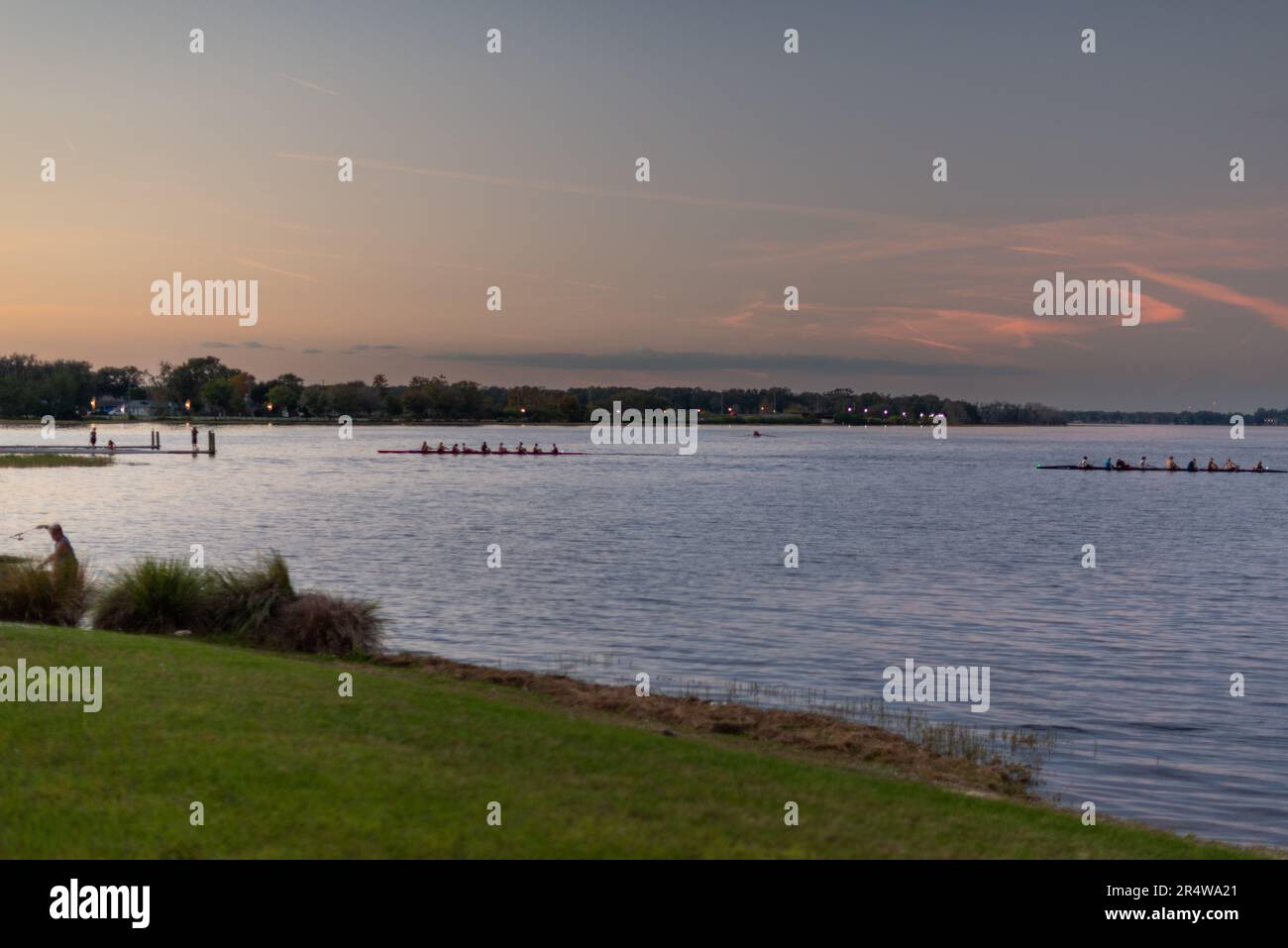 Two teams rowing in shells with multiple teammates at a university ...