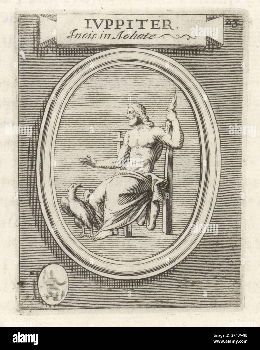 Eagle feet hi-res stock photography and images - Alamy