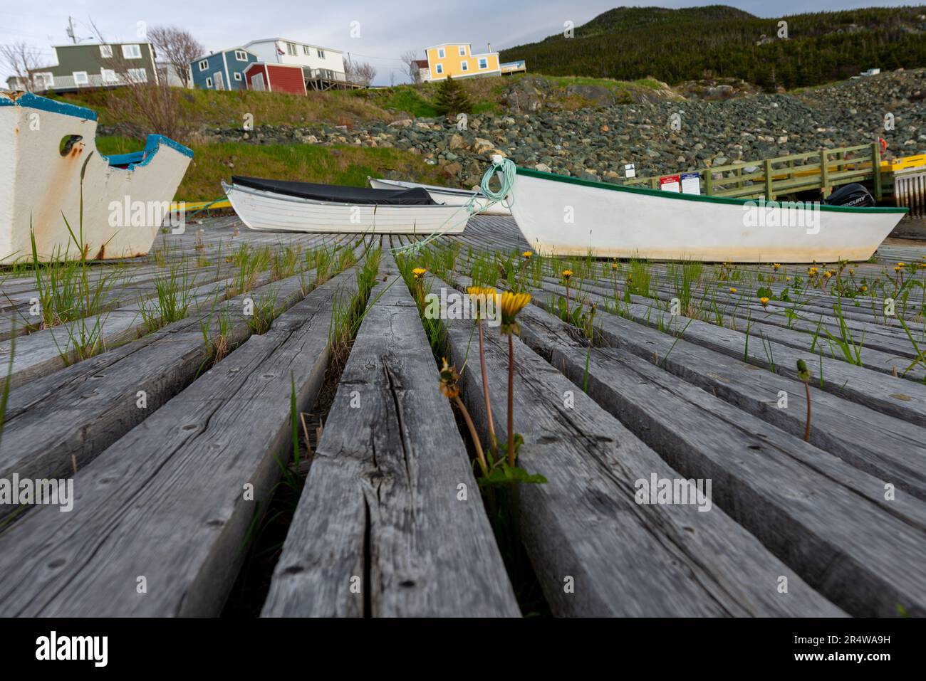 A small white fishing boat is tied up on a slipway in a small harbor ...