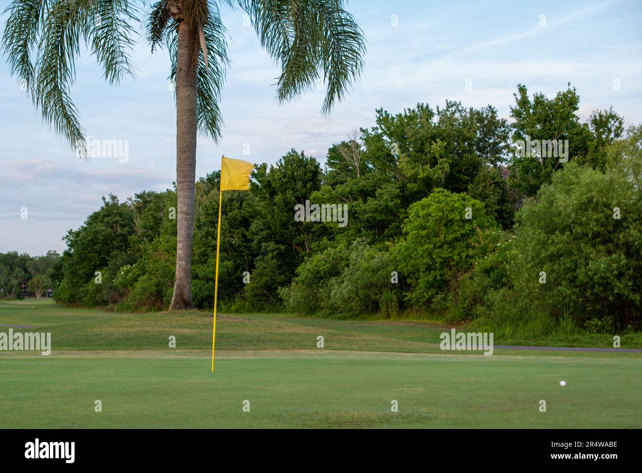 A yellow flag stands motionless attached to a yellow pole, on a golf ...