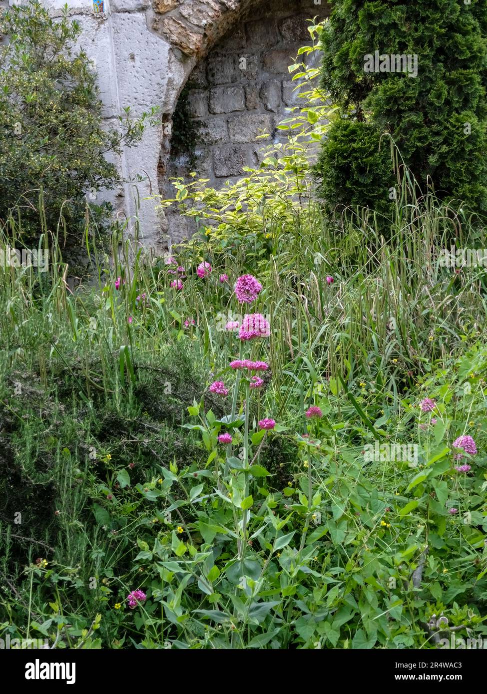 Jehan Rictus Square / park, Nr Abbesses, Paris, France Stock Photo - Alamy