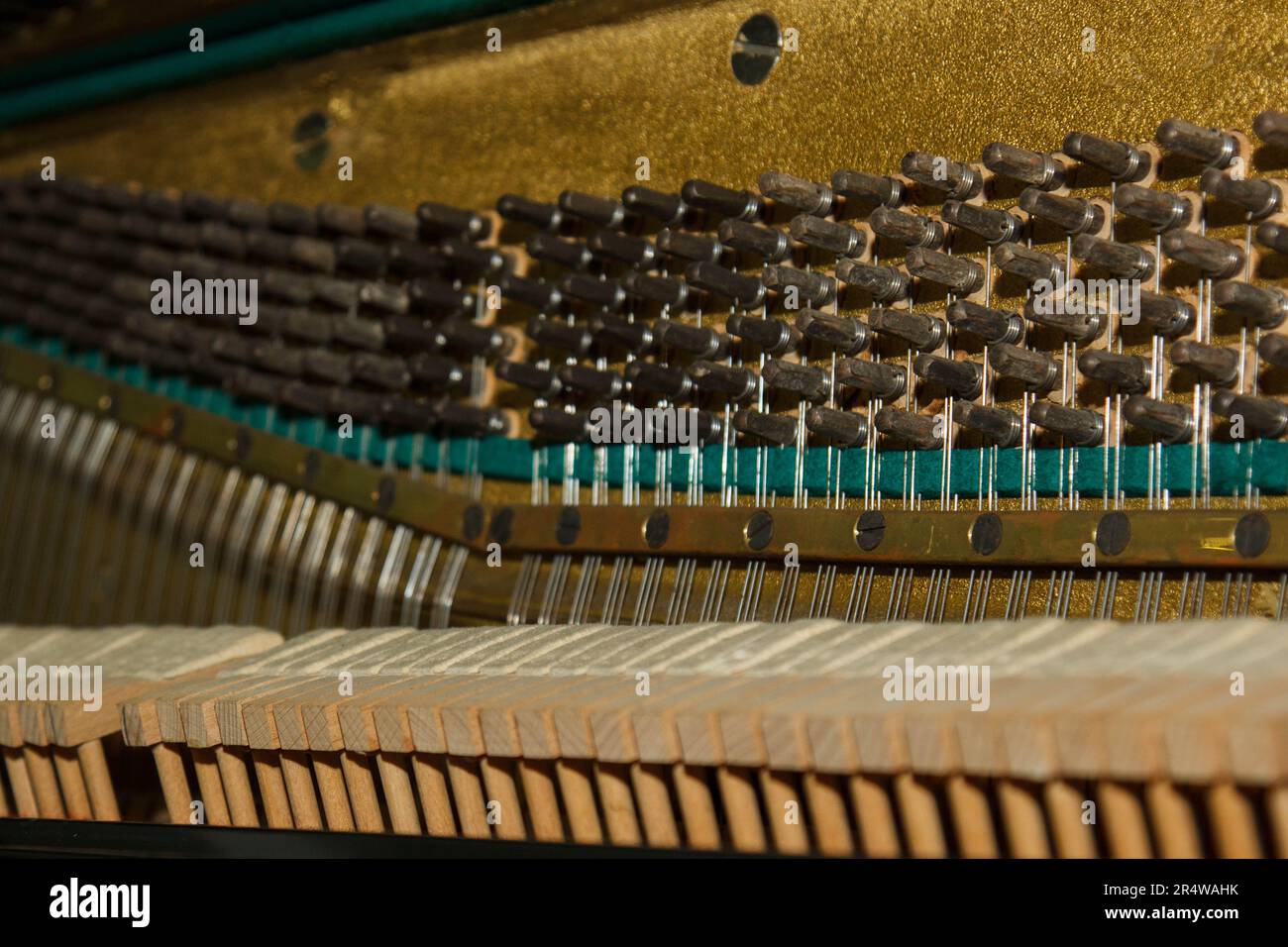 Repair of a stringed musical instrument. The interior of a piano with ...