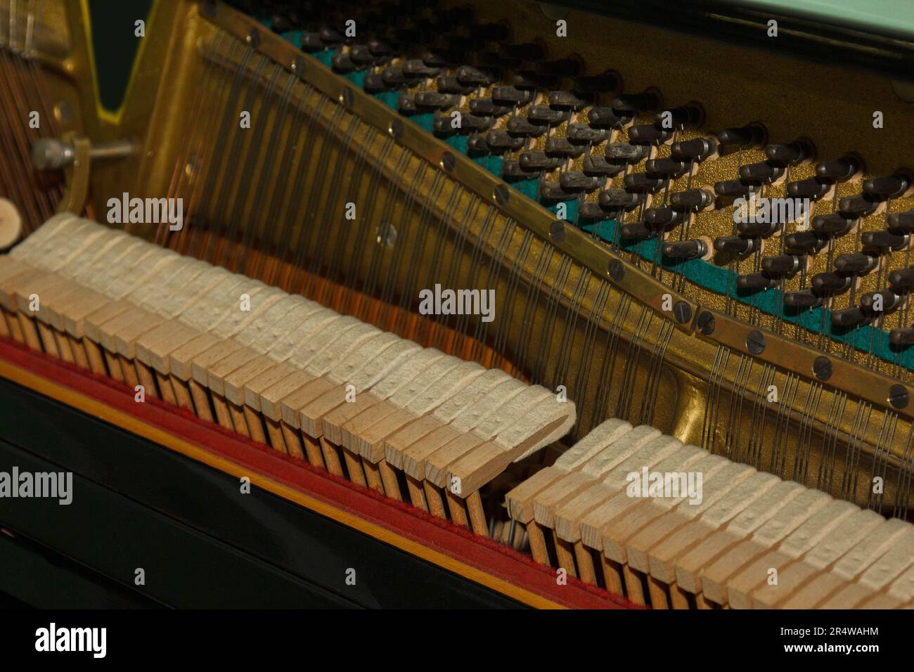 Repair of a stringed musical instrument. The interior of a piano with ...