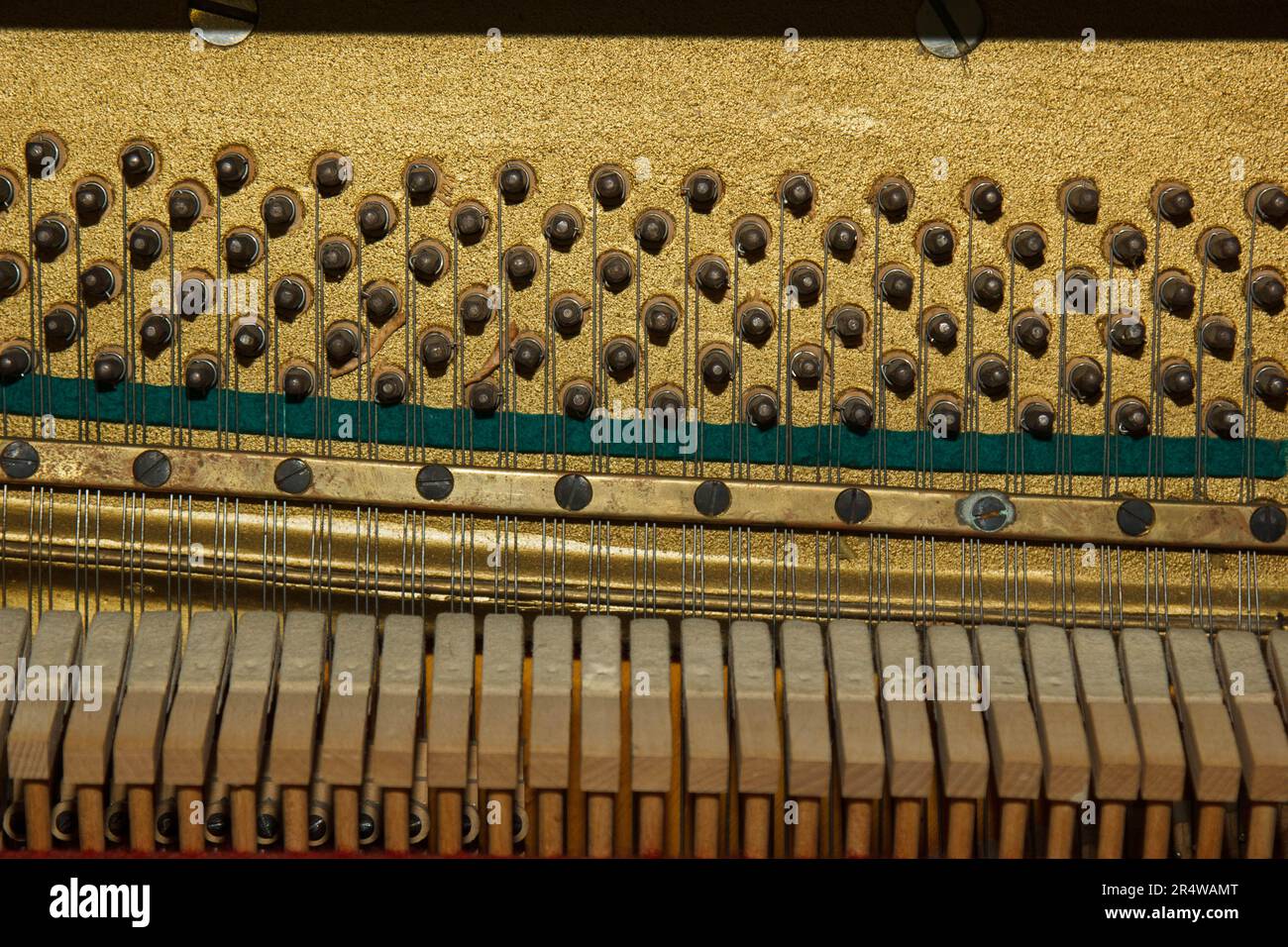 Repair of a stringed musical instrument. The interior of a piano with ...