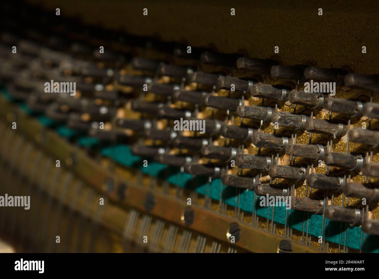 Repair of a stringed musical instrument. The interior of a piano with ...